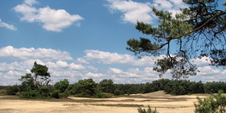 Die schönsten Naturgebiete der Niederlande