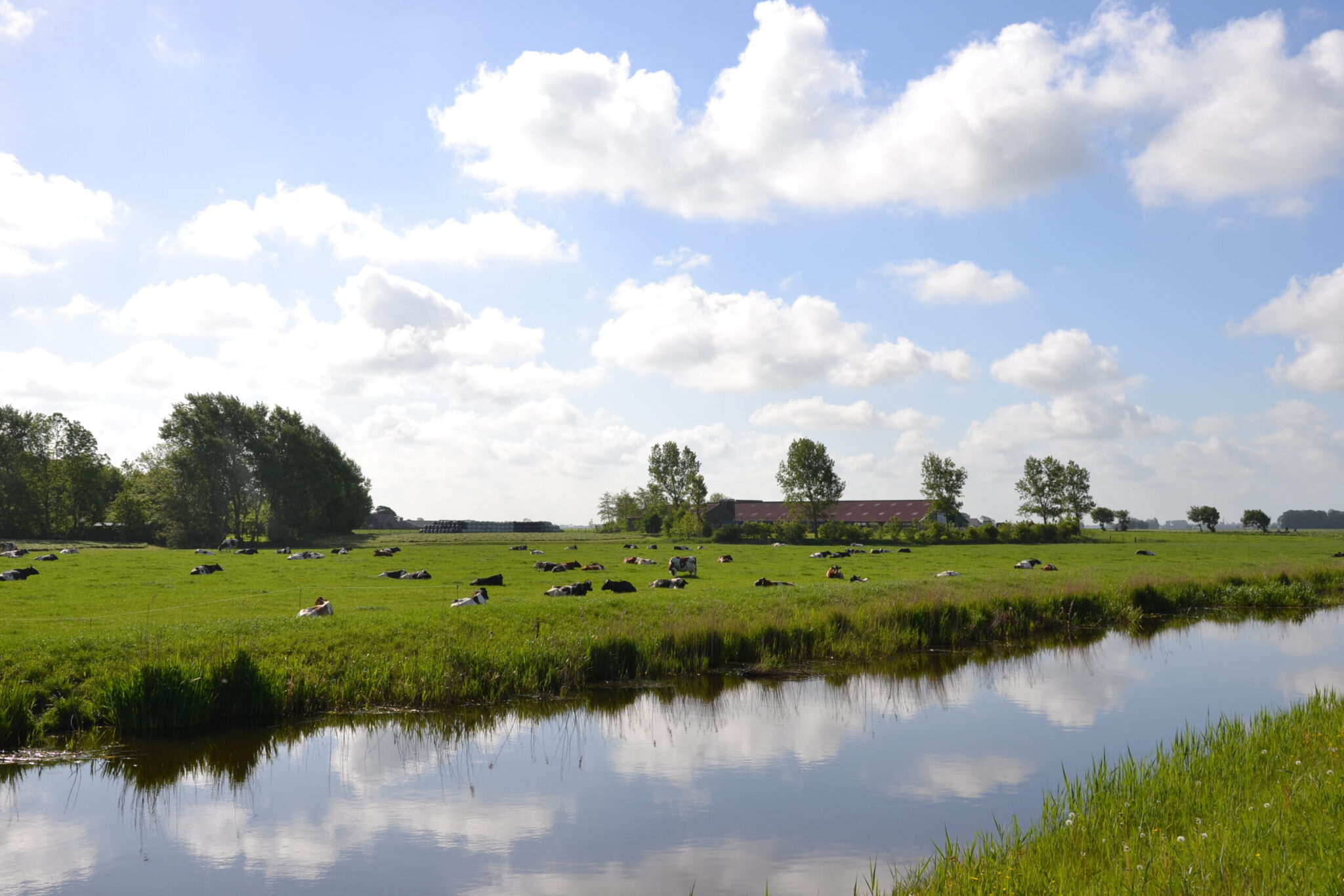 Rad- und Schiffsreisen Friesland | Boat Bike Tours