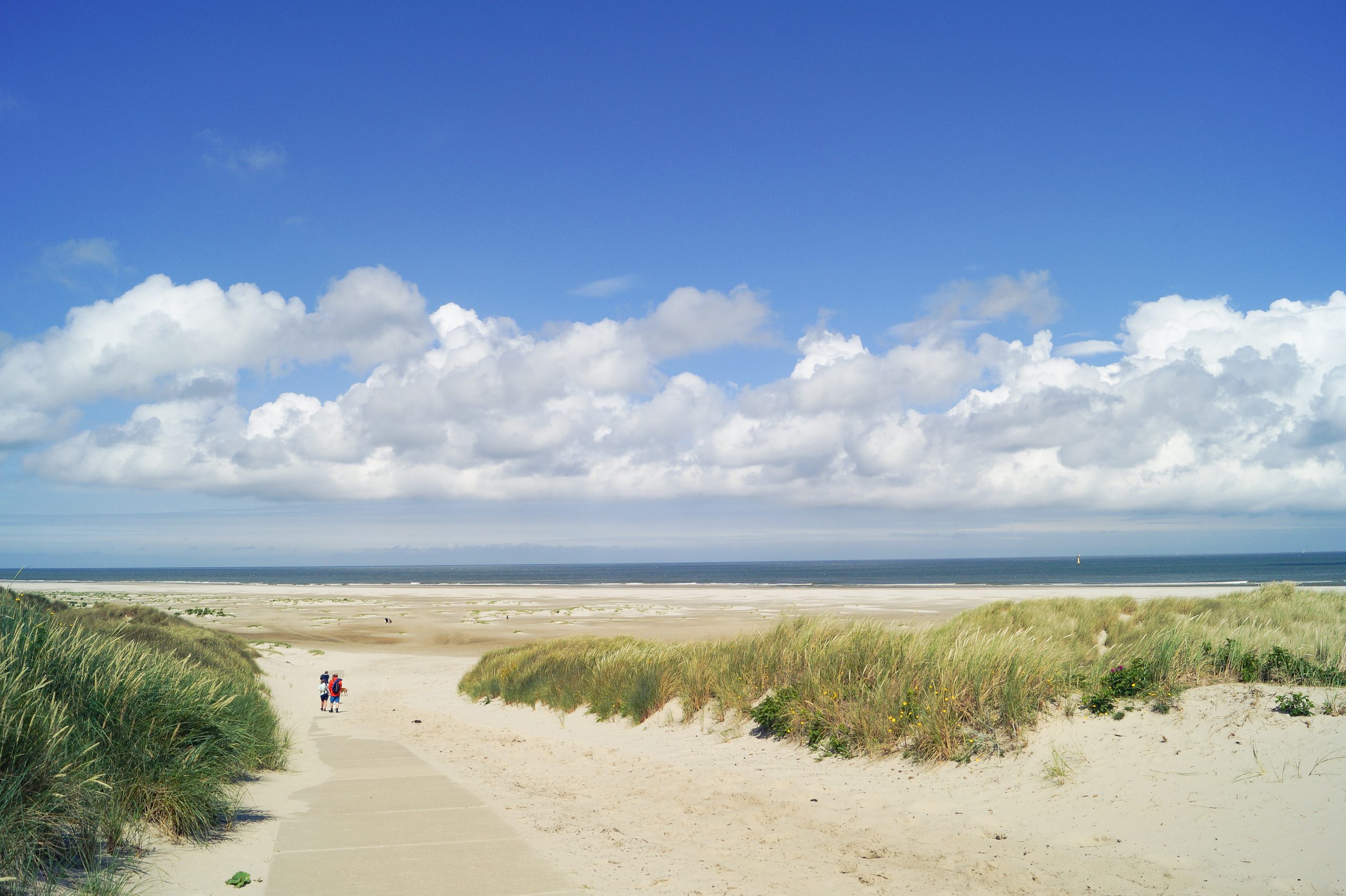 Sail & Bike IJsselmeer: Geführte Radtouren entlang malerischer Küsten | Rad- und Schiffsreisen